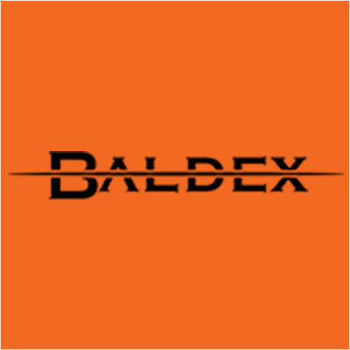 Baldex - O našoj kompaniji